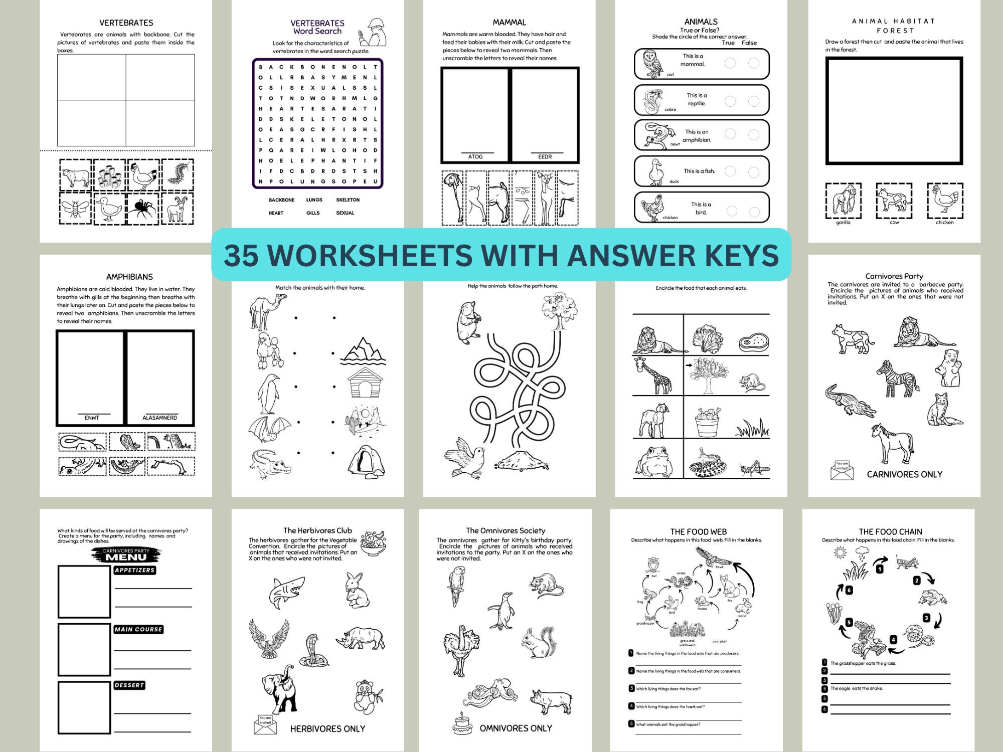Hojas De Trabajo De Ciencias Para Cuarto Grado