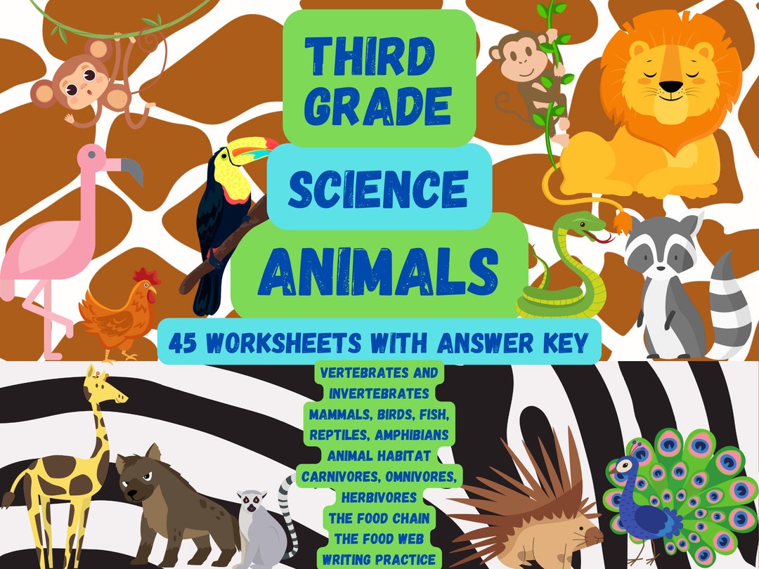 45 Science Worksheets, at Home Learning Bundle, Printable Worksheets ...