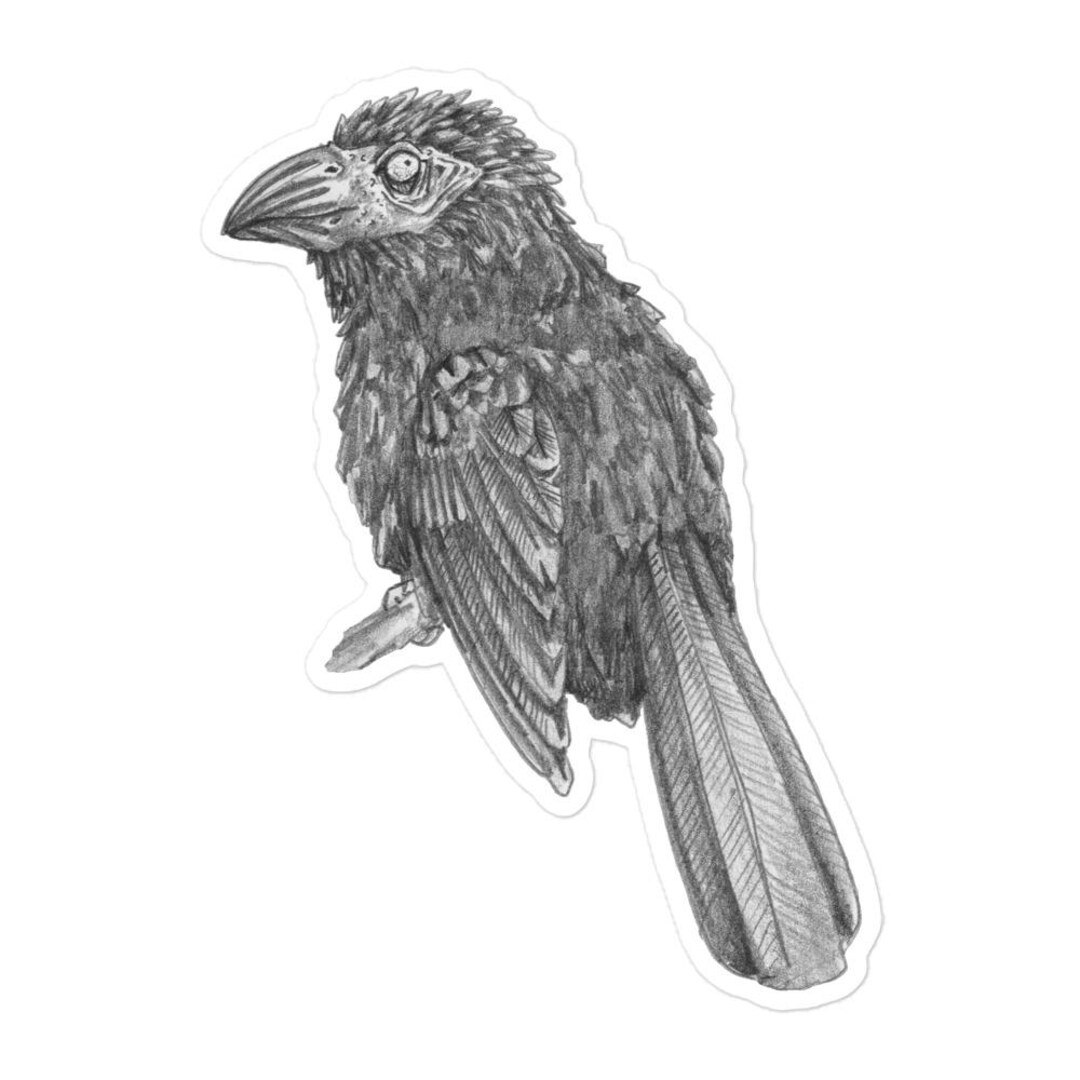 Goth Groove-billed Ani Vinyl Sticker – Unique Bird Decal for Laptops ...