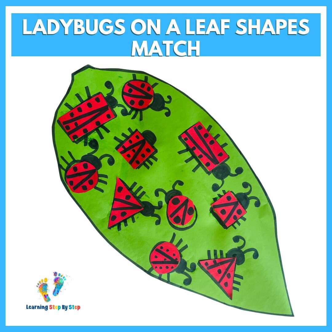 Shapes Activity for Kids Ladybug Shapes Match - Etsy