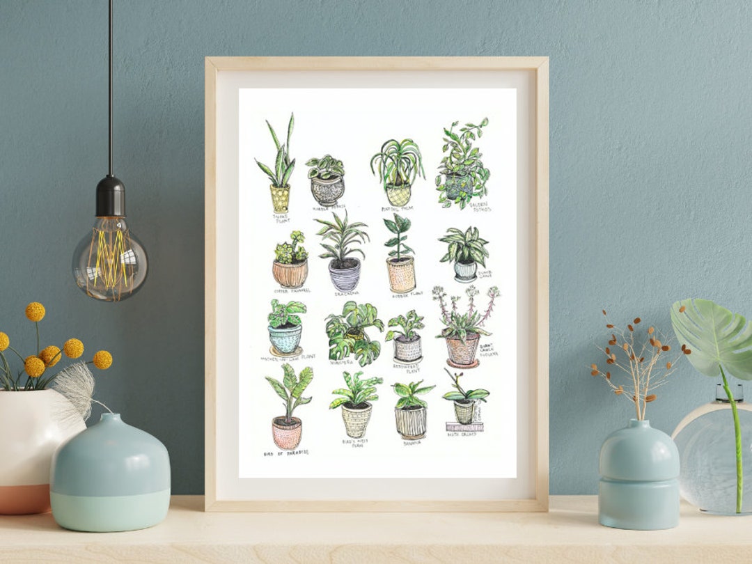 Houseplant Watercolor Wall Art Poster | San Diego Plant Wall Art ...