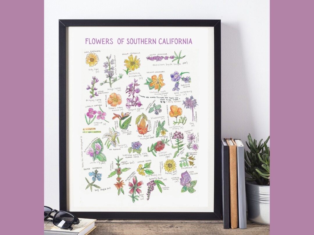 Southern California Flowers Poster | Silverlake Flowers Watercolor ...