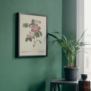 Scandoval Vanderpump Rules Digital Download Poster art Printsken Todd ...