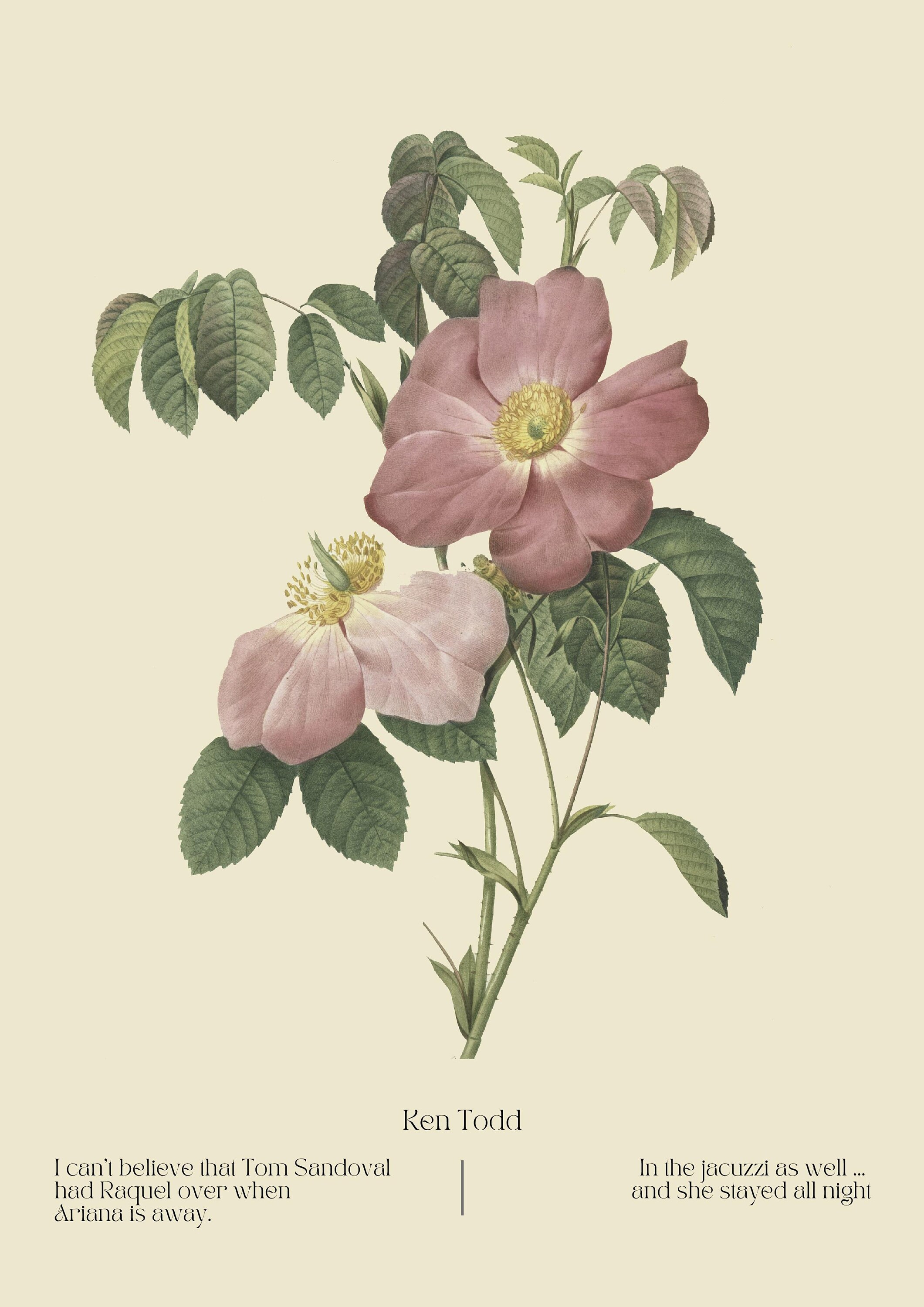 Scandoval Vanderpump Rules Digital Download Poster art Printsken Todd ...