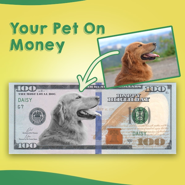 100 Dollar Bill - Etsy