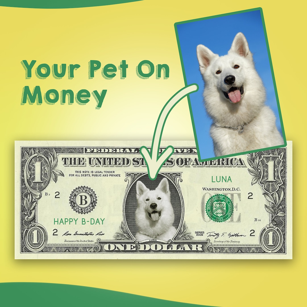 Personalized Money Using Pet Photo, Game Money, 1 Dollar Bill, Party ...