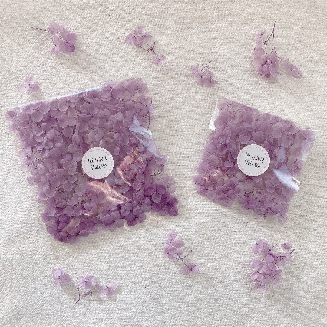 LIGHT PURPLE Preserved Hydrangea Flower Floral Pack DIY Confetti Gift ...