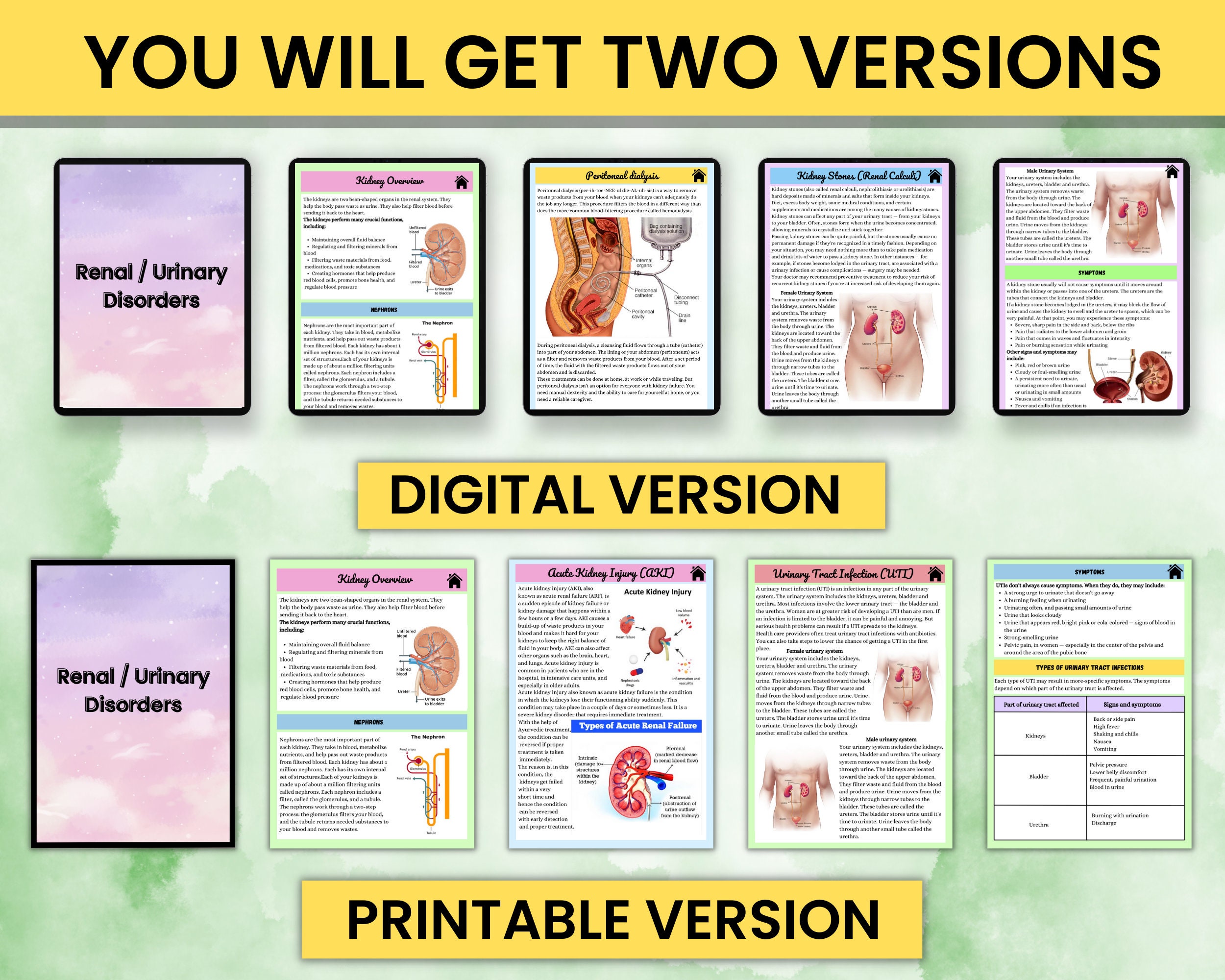 Digital Urinary Disorder Renal System Study Guide Nursing Notes Digital ...