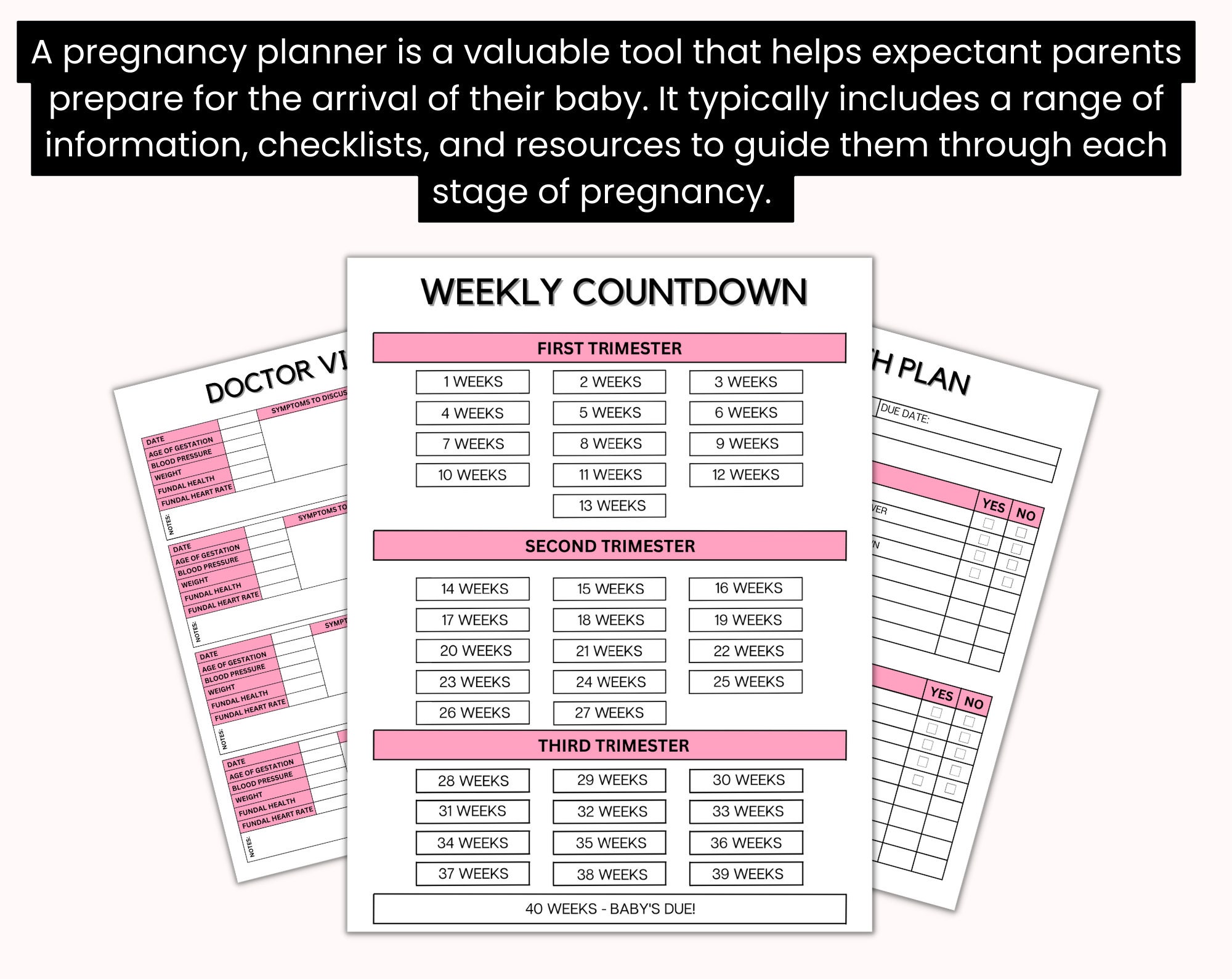 Pregnancy Planner Printable Printable Pregnancy Journal Pregnancy ...
