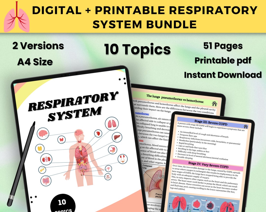 Respiratory System Study Guide: Med Surg Nursing (digital or Printable ...