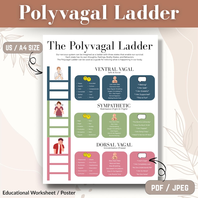 Polyvagal Ladder Worksheet: Trauma Recovery, Nervous System Chart ...