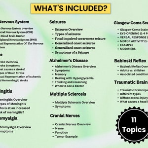 Digital Neurological System | Neuro Bundle | Med Surg Notes | Pritnable ...