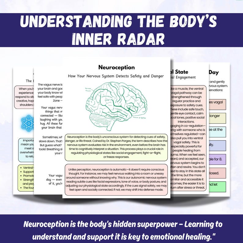 The Polyvagal Theory Workbook, 40 Sheets, Nervous System Reset, Mind ...