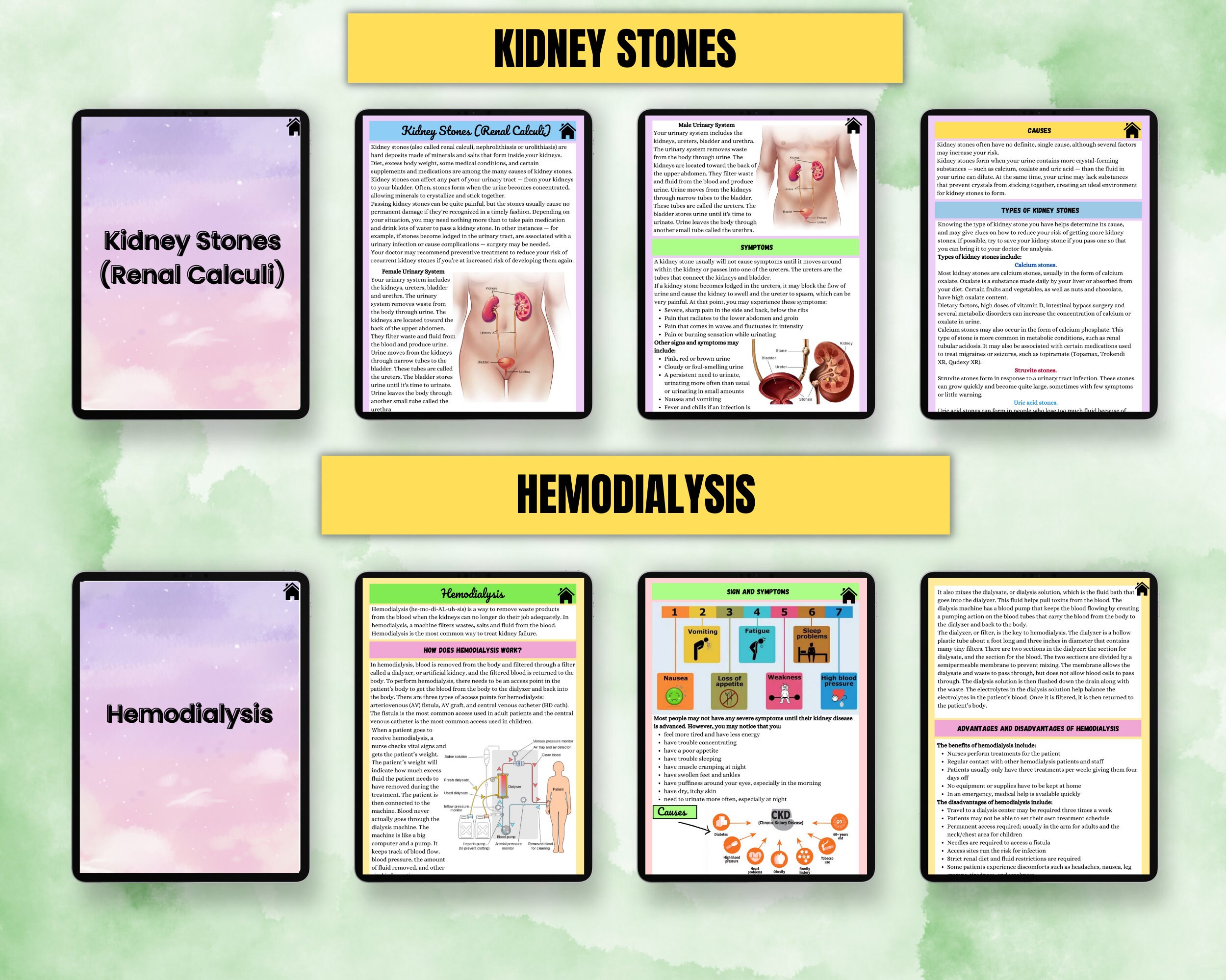 Digital Urinary Disorder Renal System Study Guide Nursing Notes Digital ...