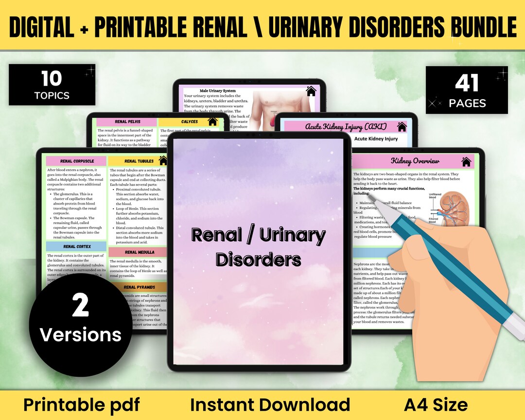 Digital Urinary Disorder | Renal System Study Guide | Nursing Notes ...