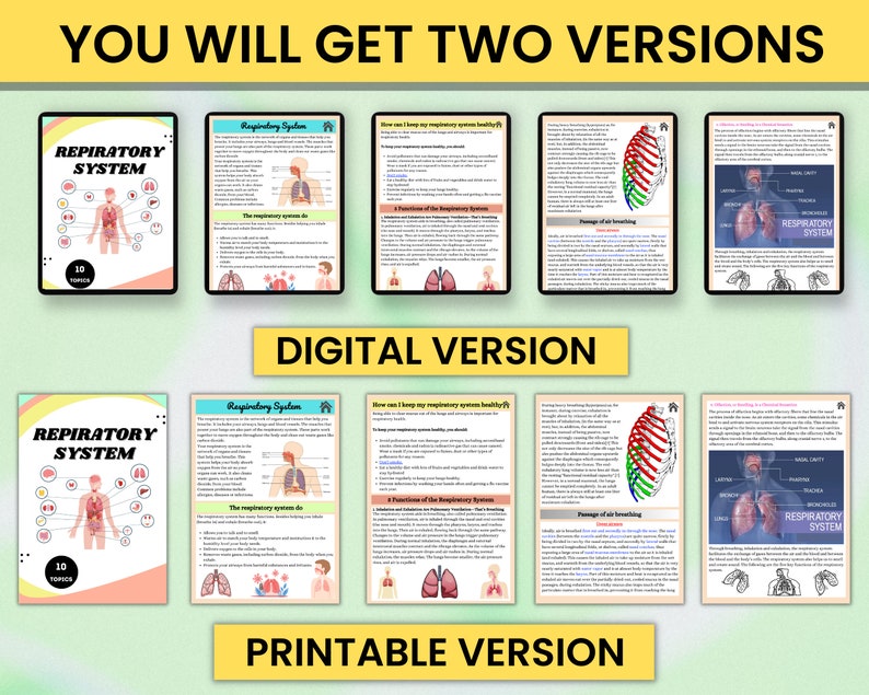 Respiratory System Bundle 51 Pages Study Guide Instant Download ...