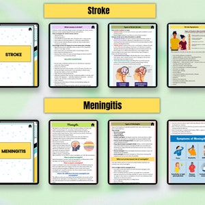 Neurological System Notes: Med Surg Nursing Study Guide (printable PDF ...
