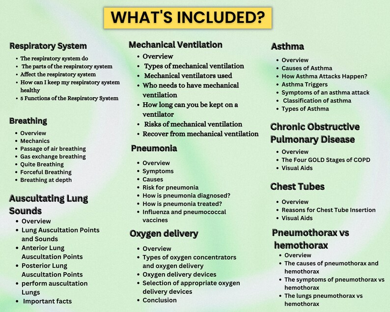 Respiratory System Study Guide: Med Surg Nursing (digital or Printable ...
