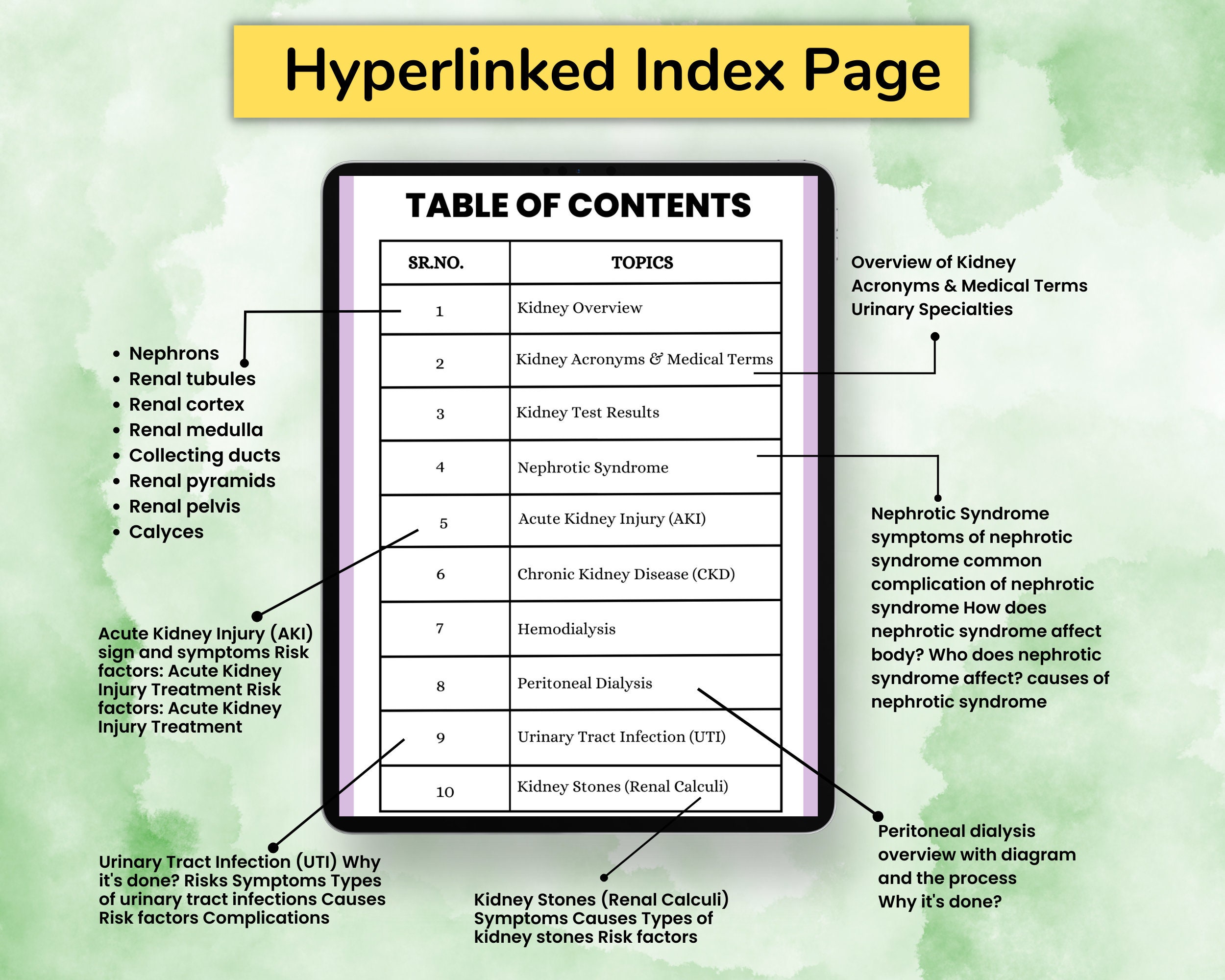 Digital Urinary Disorder | Renal System Study Guide | Nursing Notes ...