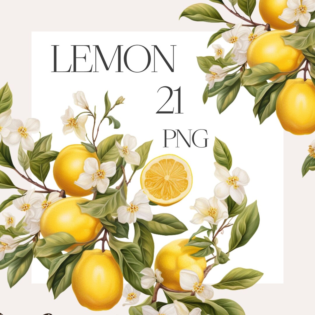 Watercolor Lemon Clipart Watercolor Lemons Png Lemon Twig - Etsy