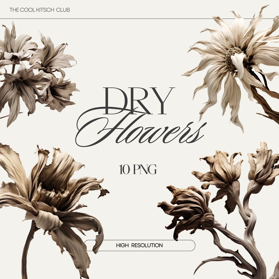 Dry Flowers Clipart Bundle 5 PNG Dried Autumn Flowers Spices Floral ...