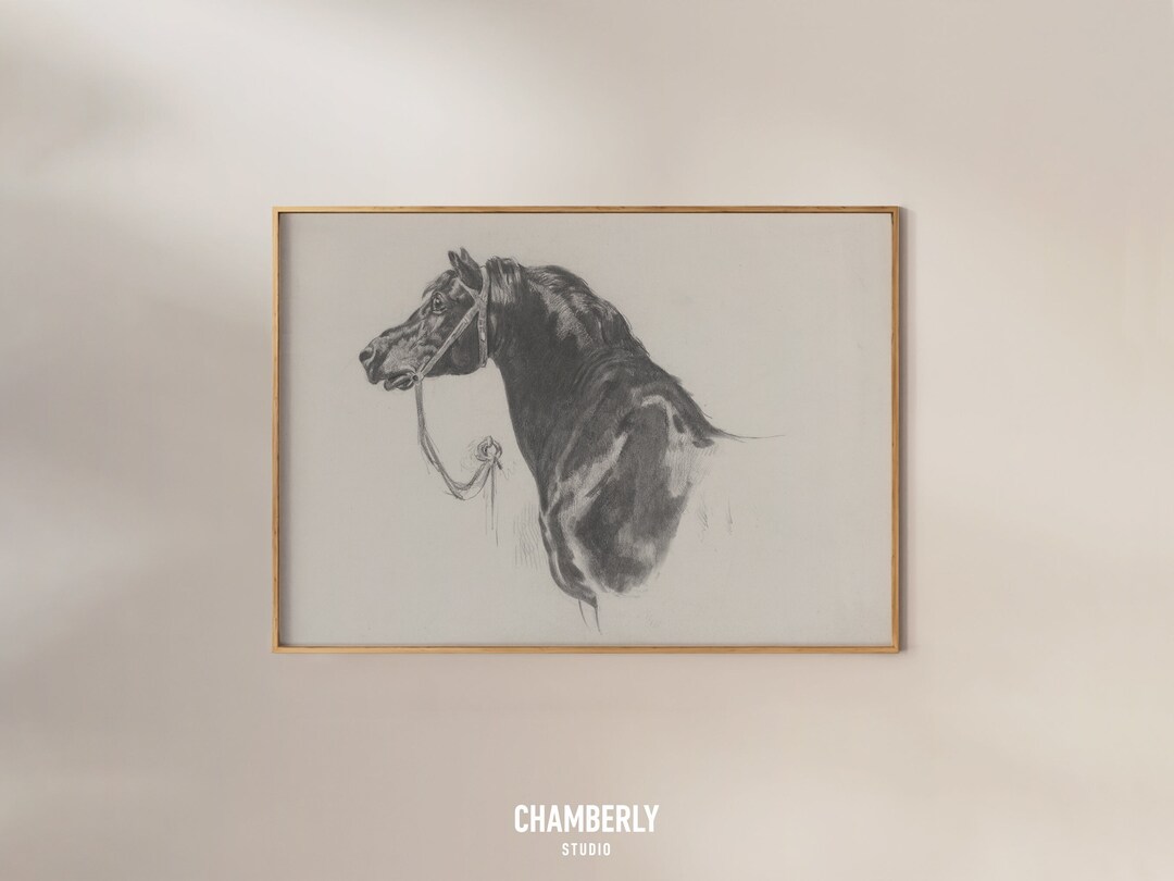 Elegant Equine: Horse Head and Neck Vintage Chalk Sketch Digital ...