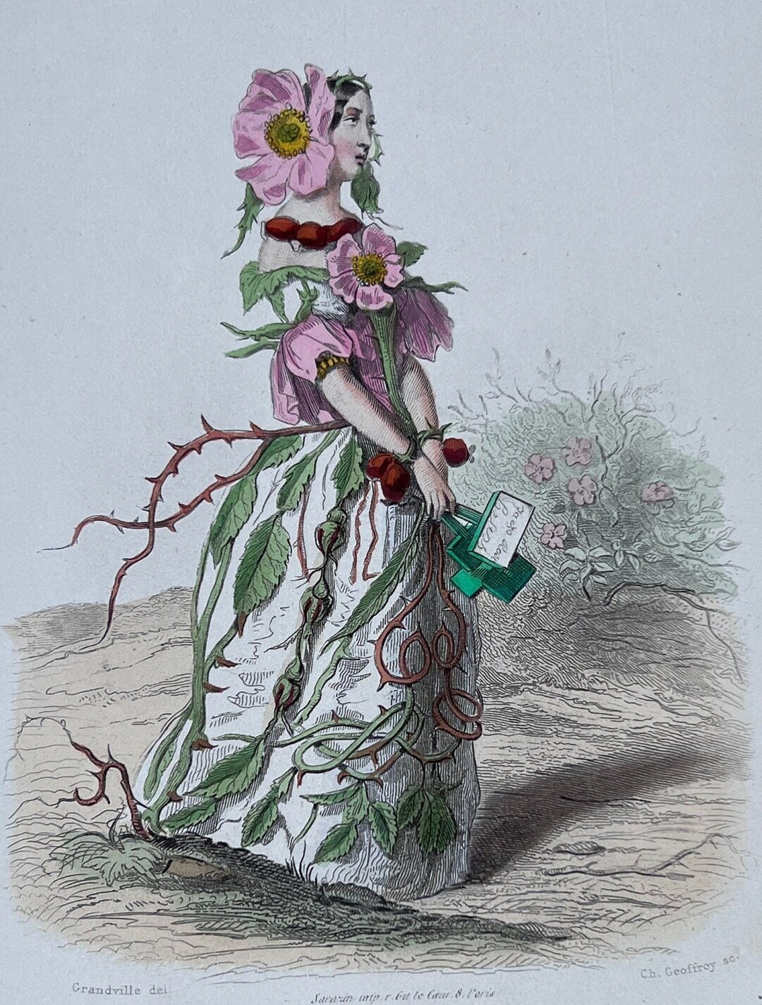 Antique Botanical Costume Illustration Églantine Rose-inspired Dress ...