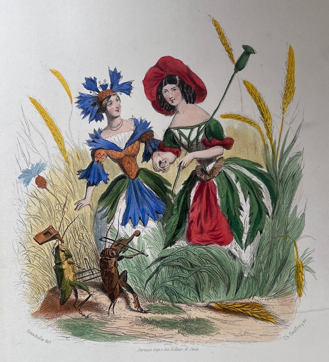 Antique Lithograph Print - Blueberry & Poppy by Grandville (1803-1847 ...