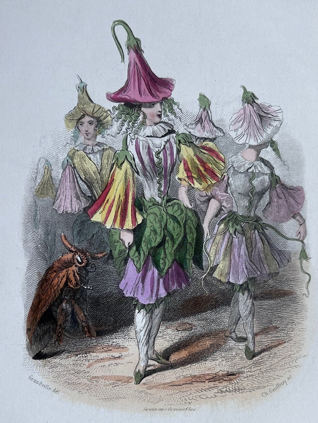 Antique Botanical Costume Illustration Belle-de-nuit Night Blooming ...