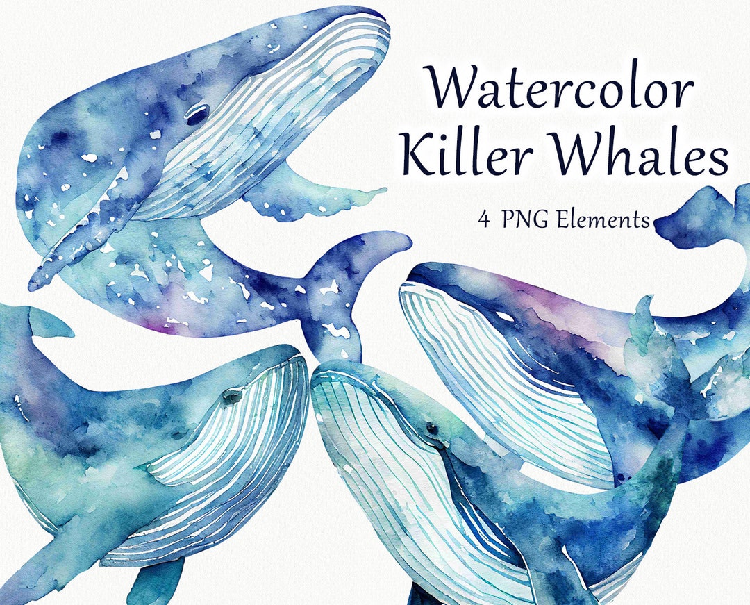 Blue Whale Watercolour Clipart. Watercolor Whale Clipart. Whale Clipart ...