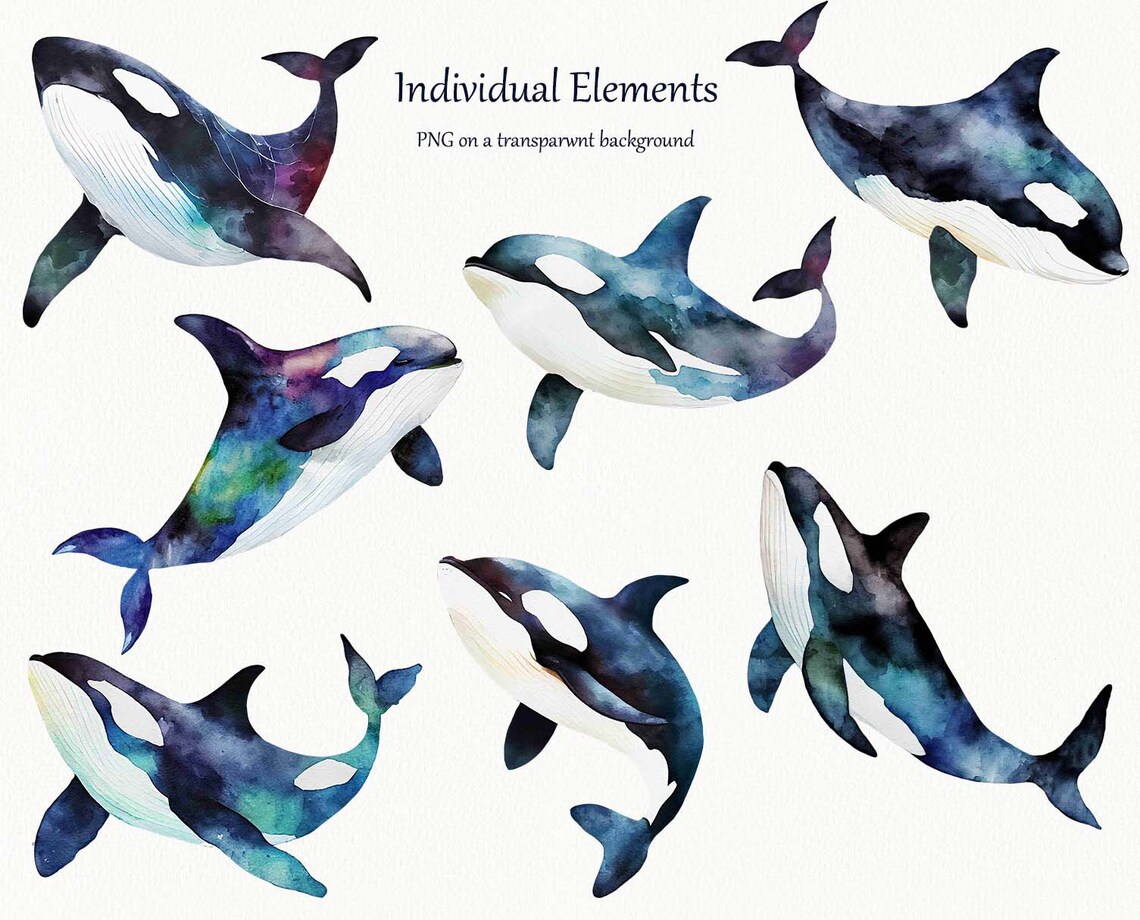 Watercolor Killer Whale Clipart. Whale Clipart. Ocean Watercolor ...