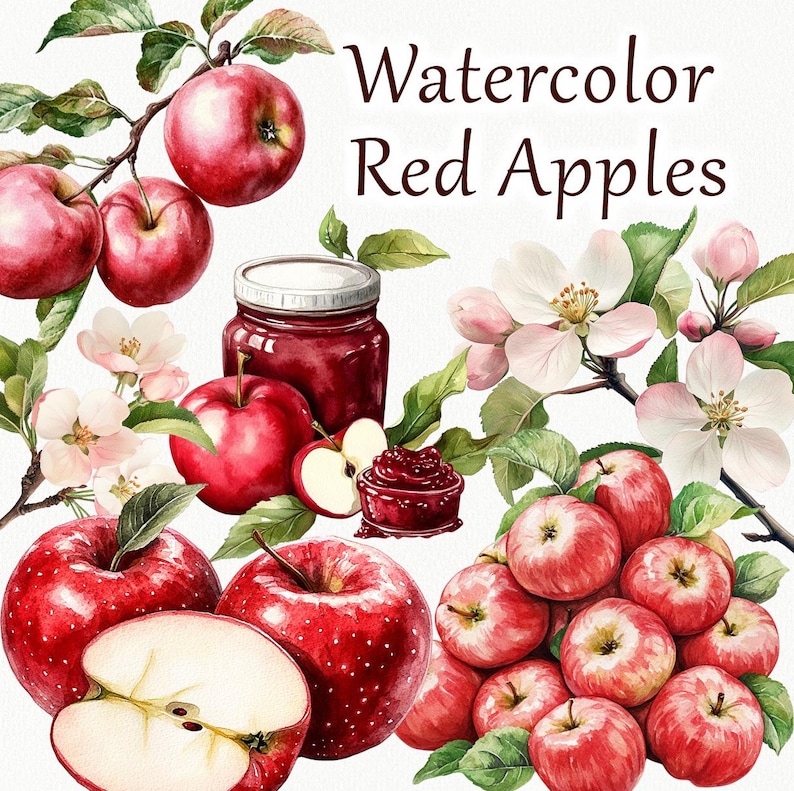 Red Apple Watercolor Clipart. Apples Summer Clipart. Apple Tree Clipart ...