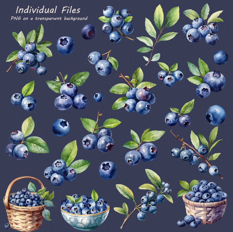 Blueberry Watercolor Clipart. Blueberry Summer Clipart. - Etsy