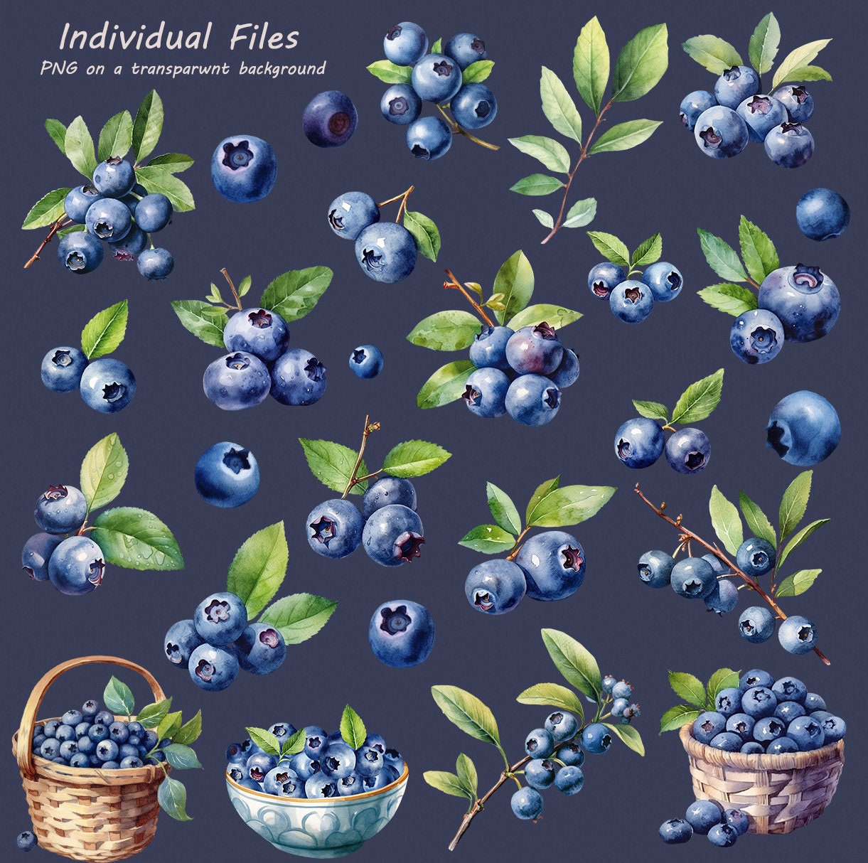 Blueberry Watercolor Clipart. Blueberry Summer Clipart. - Etsy