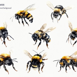 Bumblebee Watercolor Clipart. Watercolor Bee Illustration. Watercolor ...