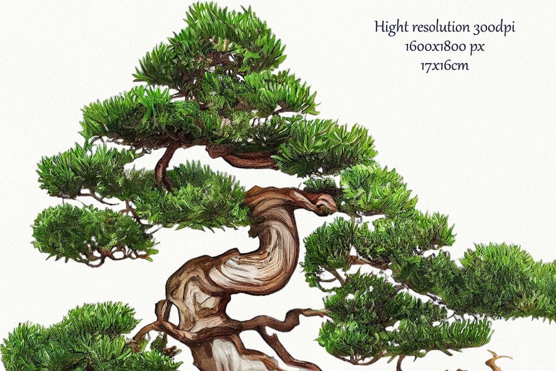 Bonsai Tree Clipart. Tropical Clipart. Bonsai Shrines Clipart ...