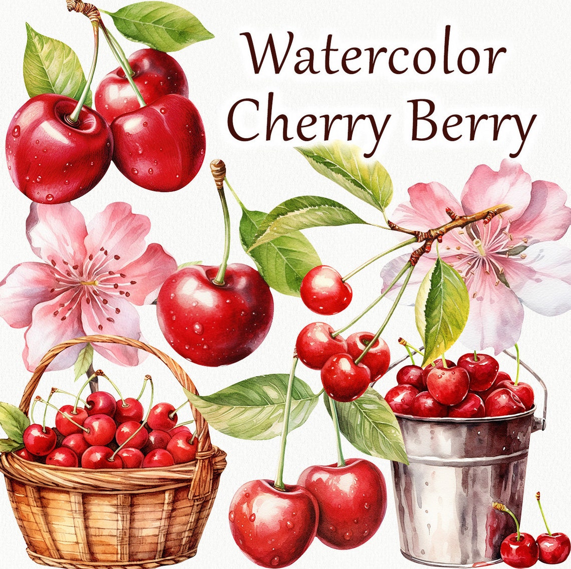 Cherry Berry Watercolor Clipart. Cherry Summer Clipart. Cherry - Etsy
