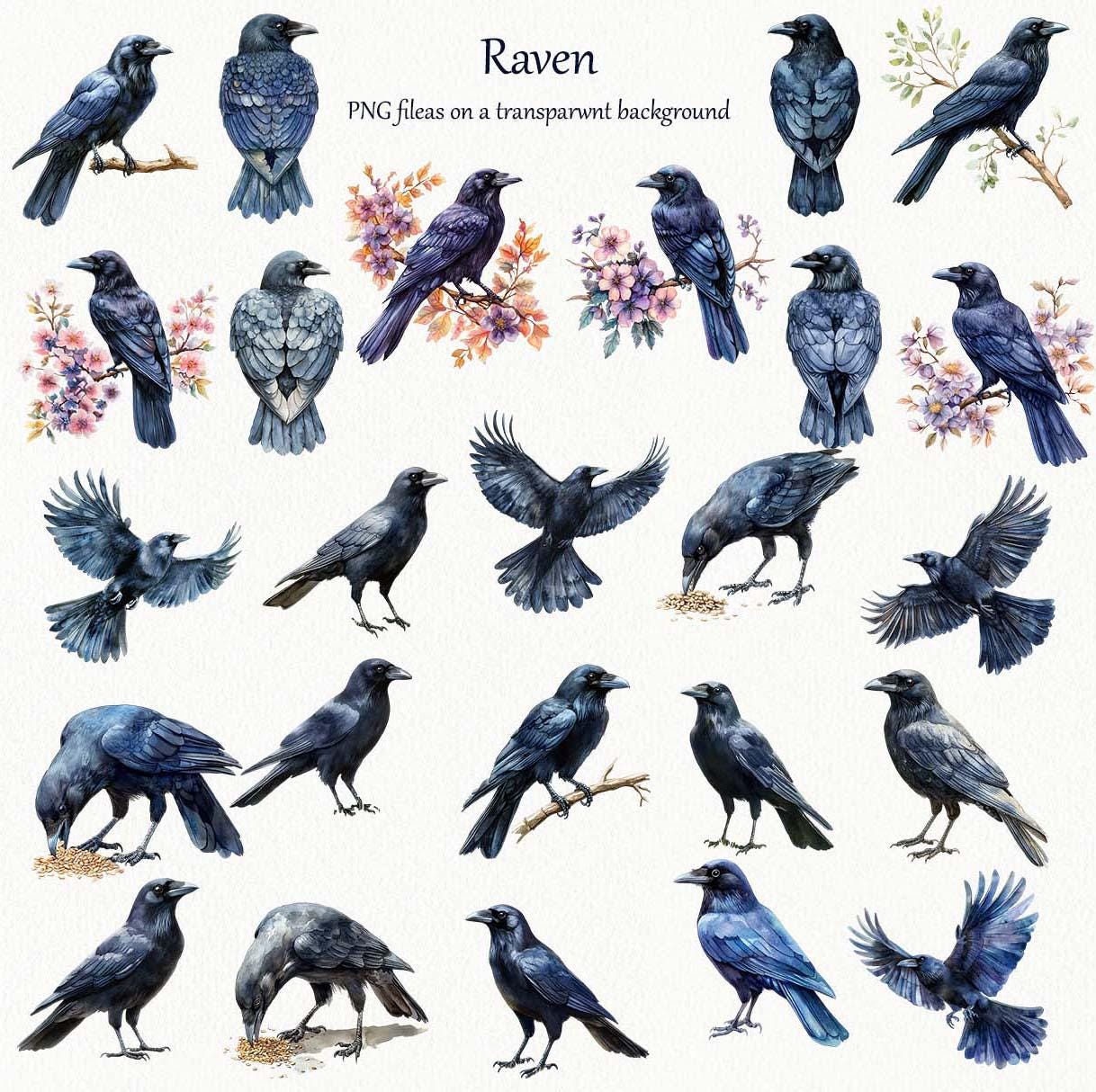 Raven Watercolor Clipart. Crow Clipart. Birds Clipart. Black Bird ...