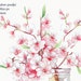 Cheryy Blossom Watercolor Clipart. Spring Flowers Clipart. Floral ...