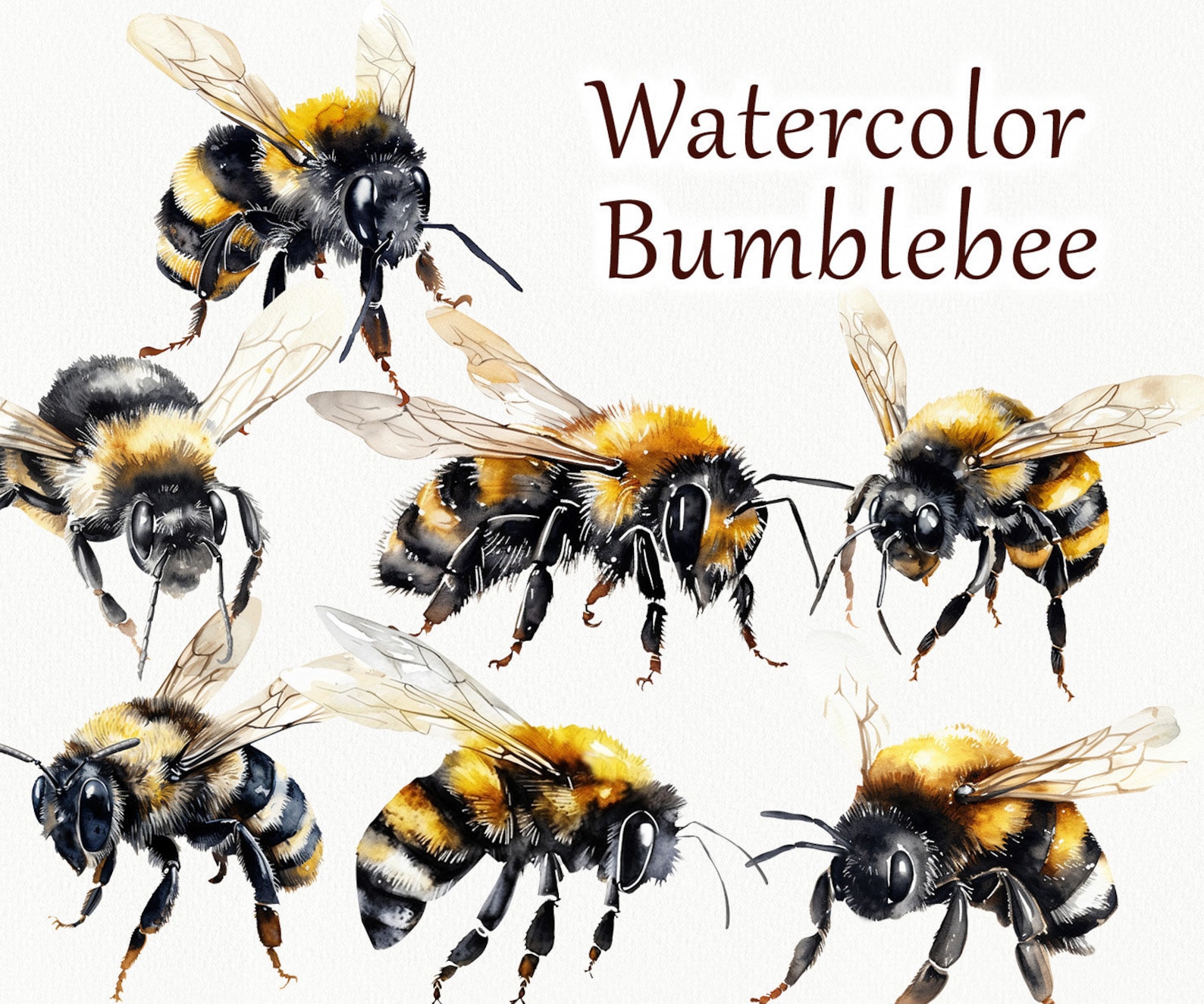 Bumblebee Watercolor Clipart. Watercolor Bee Illustration. Watercolor ...