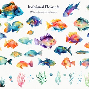 Watercolor Fish Clipart. Tropical Fish Clipart. Coral Reef Fish Clipart ...