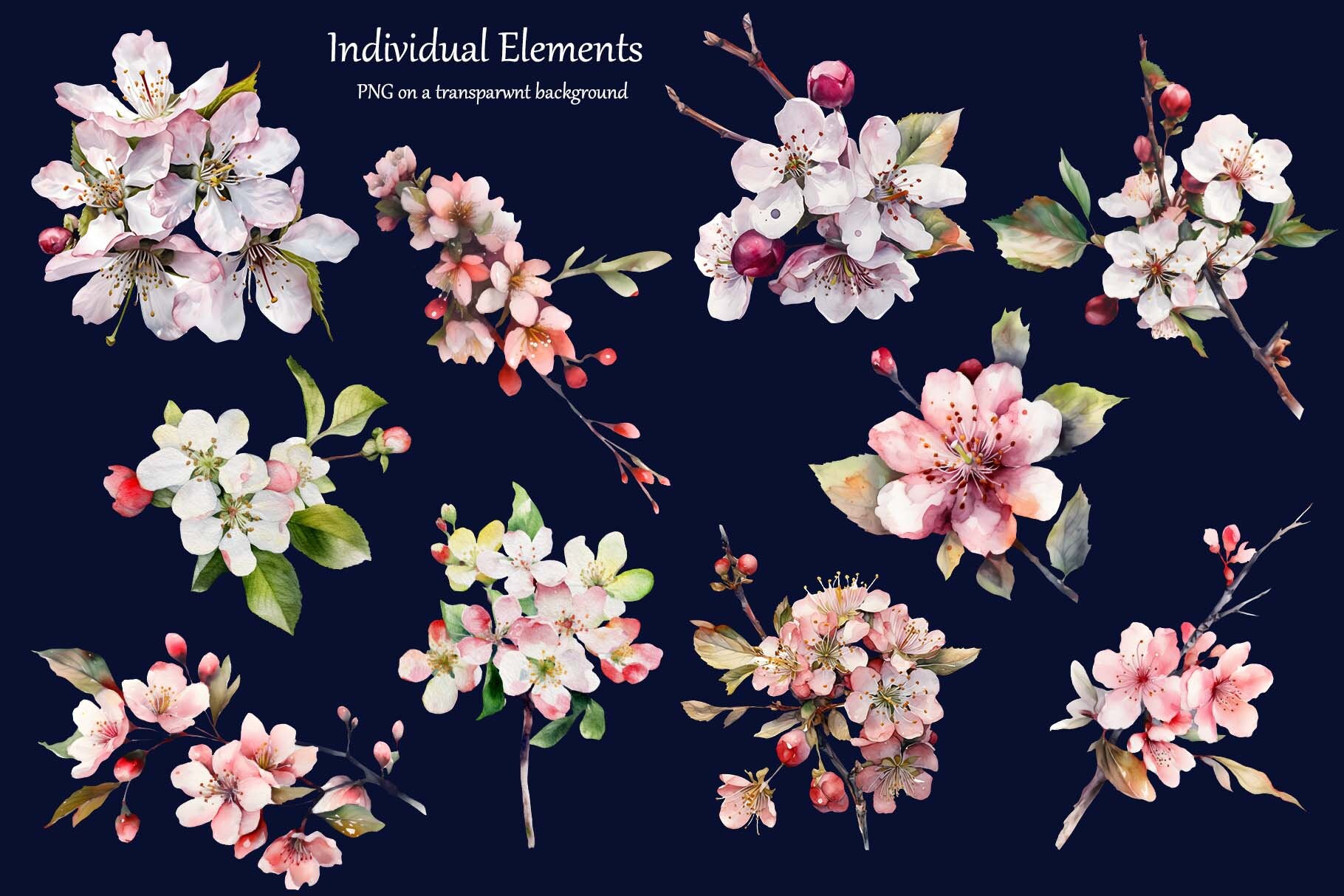 Spring Blossom Watercolor Clipart. Spring Flowers Clipart. Floral ...