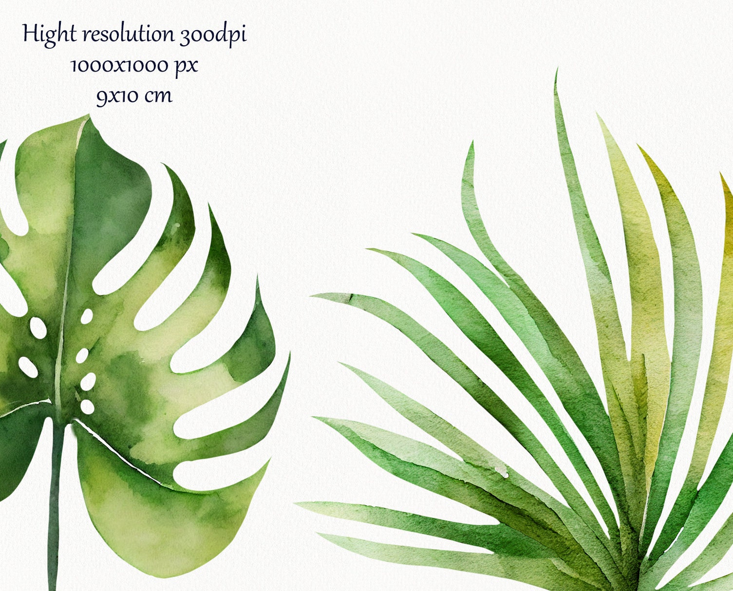 Watercolor Tropical Leaves Clipart. Tropical Clipart. Tropical Beach ...