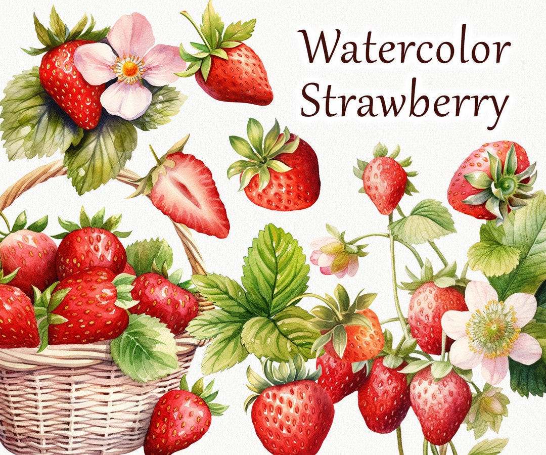 Strawberry Watercolor Clipart. Strawberry Summer Clipart. Strawberry ...