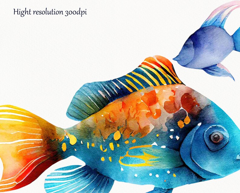 Watercolor Fish Clipart. Tropical Fish Clipart. Coral Reef - Etsy