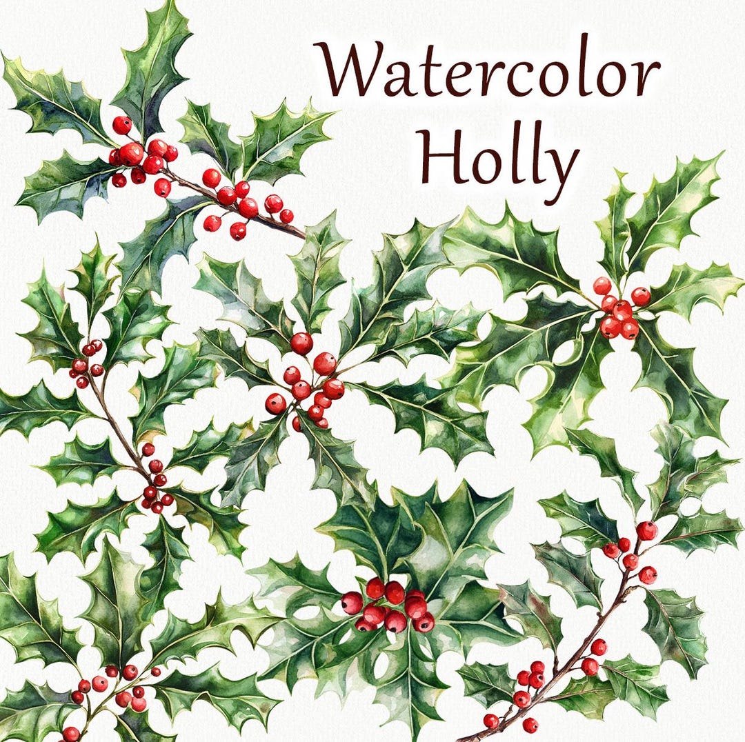 Holly Watercolor Clipart. Winter Holly Twig Clipart. Holly Plant ...