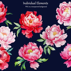 Peony Clipart. Watercolor Pink Flower Illustration. Floral Clipart ...
