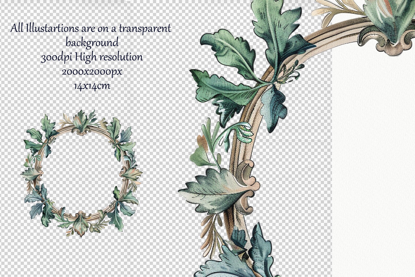 Watercolor Vintage Crest. Romantic Crest Collection. Crest Frames ...