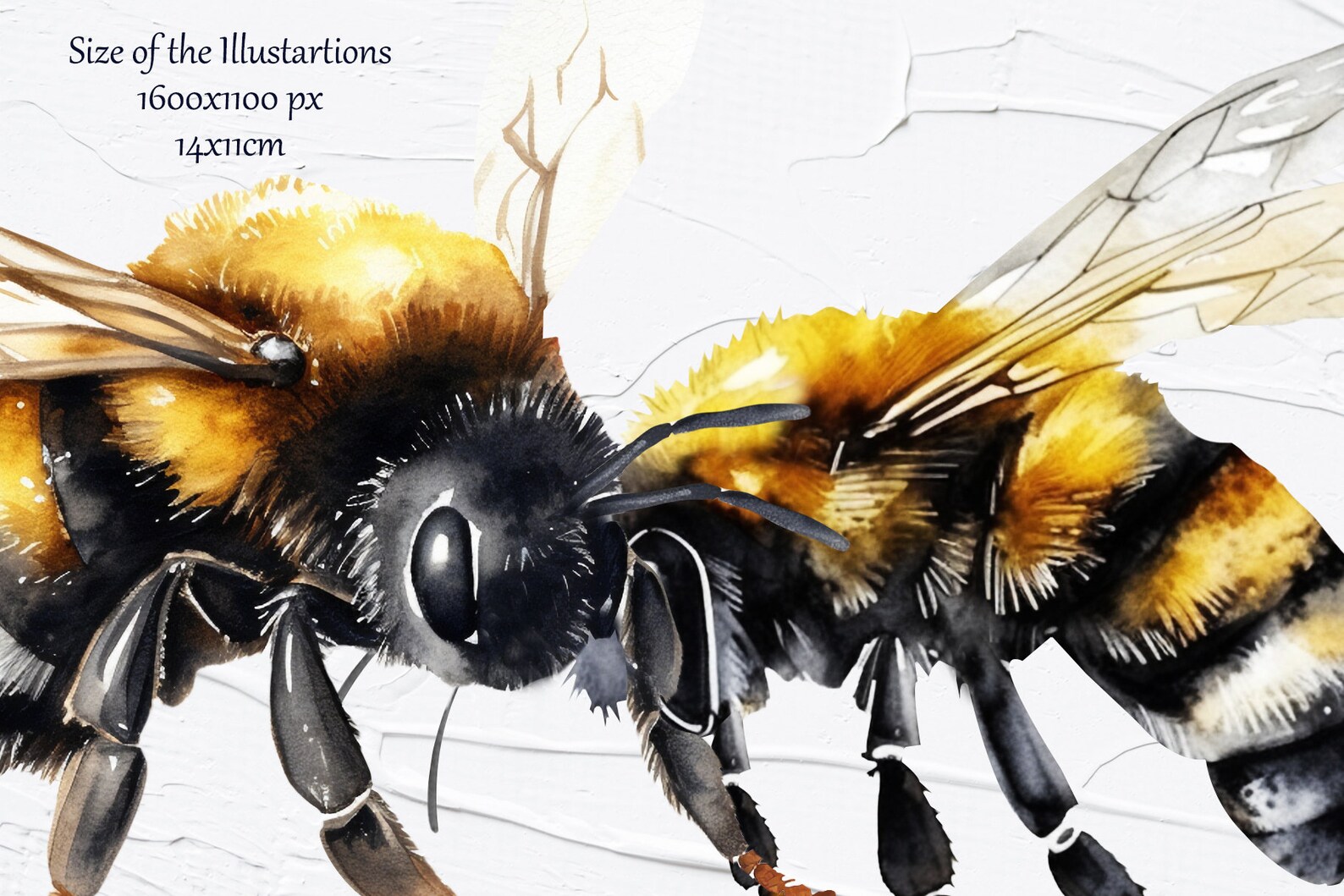 Bumblebee Watercolor Clipart. Watercolor Bee Illustration. Watercolor ...
