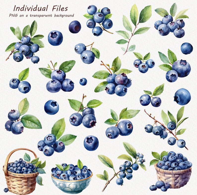 Blueberry Watercolor Clipart. Blueberry Summer Clipart. - Etsy